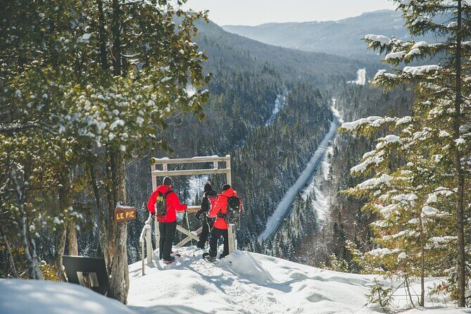 Tour Off Montreal - Who Will Love This Tour?