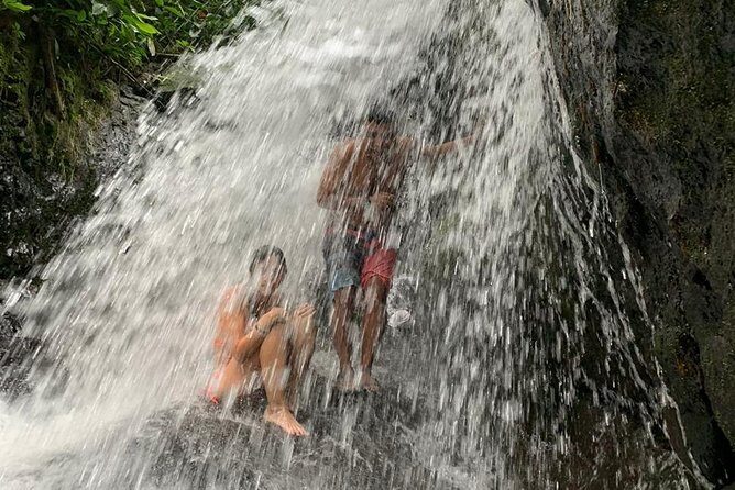 TOUR PACKAGE (jungle trekking, taxi, Room) 4 DAYS 3 NIGHTS in BUKIT LAWANG - FAQs