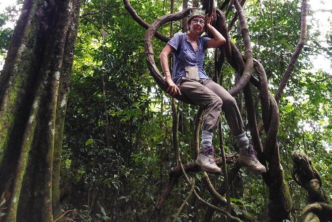 TOUR PACKAGE (Taxi, Room, Jungle Trekking) 3 Days in BUKIT LAWANG - Why This Tour Offers Good Value