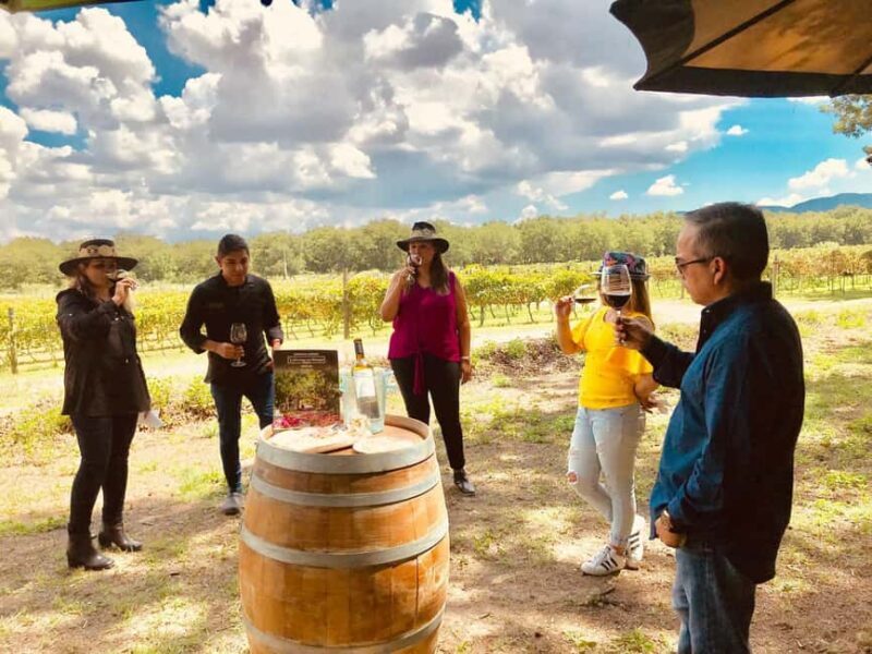 Tour "Parras de la Fuente" + Guía + Traslados + Tickets - Practical Tips for Travelers