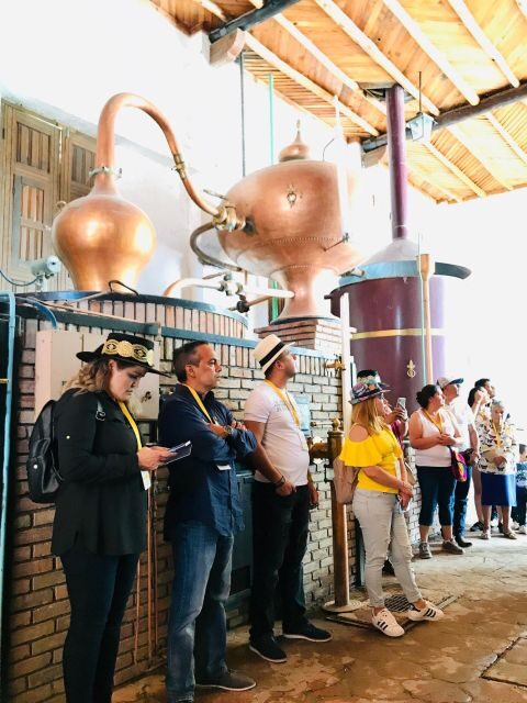 Tour "Parras de la Fuente" + Guía + Traslados + Tickets - FAQ