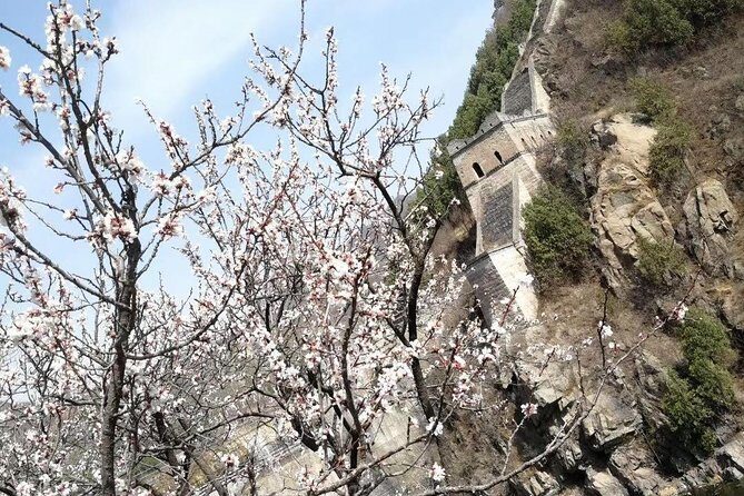 Tour Planning and Car Services with English Driver In Beijing - The Sum Up