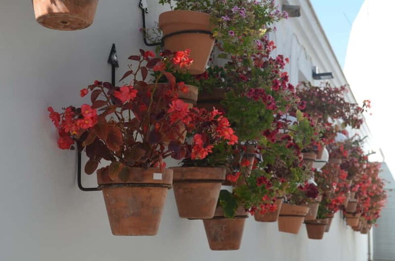 Tour por Estepona Centro - Final Thoughts: Who Is This Tour Perfect For?
