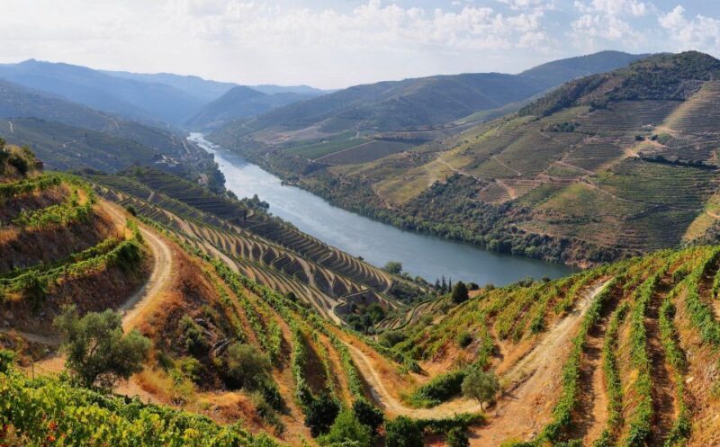 Tour Porto Douro Valley | The richness of Wine | ALL INCLUD. - Key Points