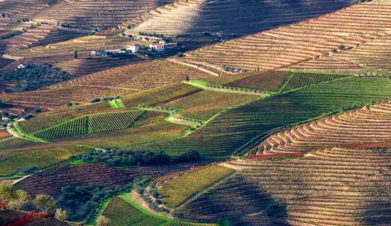 Tour Porto Douro Valley | The richness of Wine | ALL INCLUD. - Who Will Appreciate This Tour?