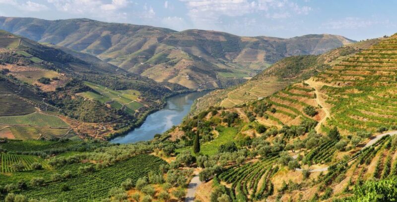Tour Porto Douro Valley | The richness of Wine | ALL INCLUD. - FAQ