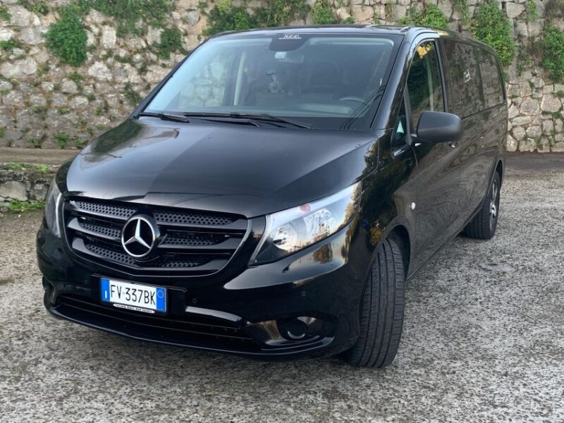 Tour : Positano Sorrento Pompeii Ruins whit Driver - FAQ