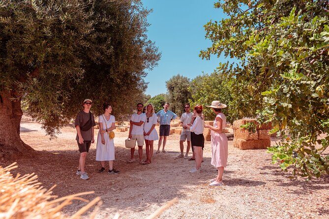 Tour Rural Park of Masseria with 3 labels of EVO oil Tasting - The Sum Up
