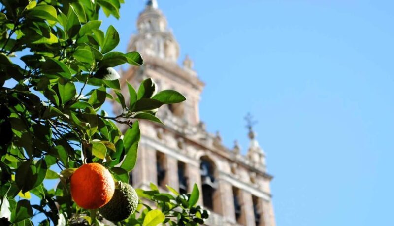 Tour Sevilla de las 3 Culturas - Who Should Take This Tour?