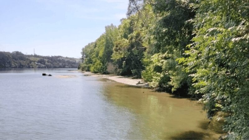 Tour Stand Up Paddle - Dessert Islands Douro - Pick up point - Is This Tour Right for You?