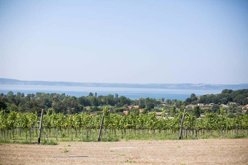Tour & Tasting at Cantine Capitani - An In-Depth Look at the Experience