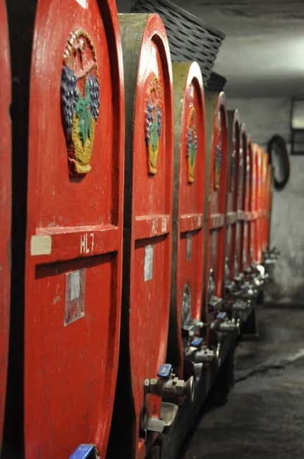 Tour & tasting at Tenuta la Viola - A Close Look at the Tour & Tasting Experience