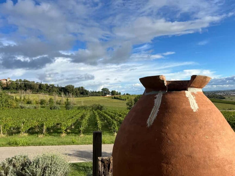 Tour & tasting at Tenuta la Viola - The Itinerary in Detail