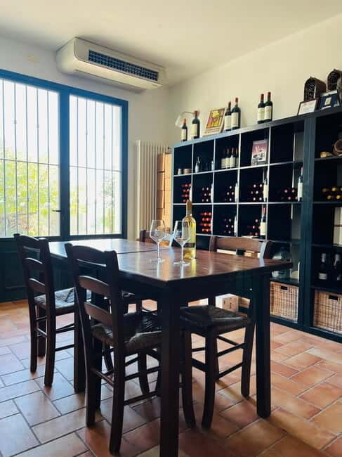 Tour & tasting at Tenuta la Viola - The Practical Side: Price, Duration, and Tips