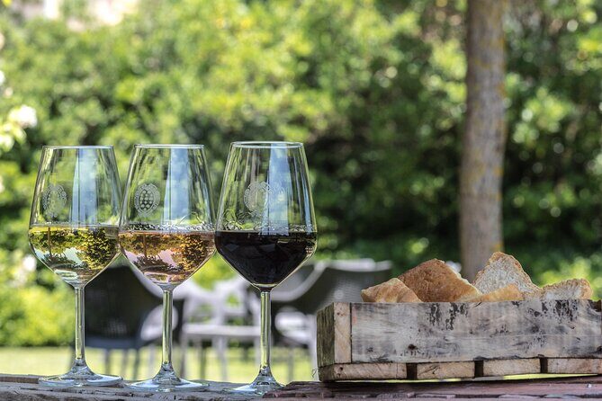 Tour & Tasting - Who Will Love This Tour?