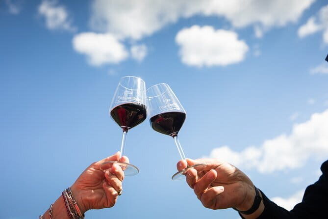 Tour Tasting & platter at an Organic Winery - Panzano in Chianti - Key Points