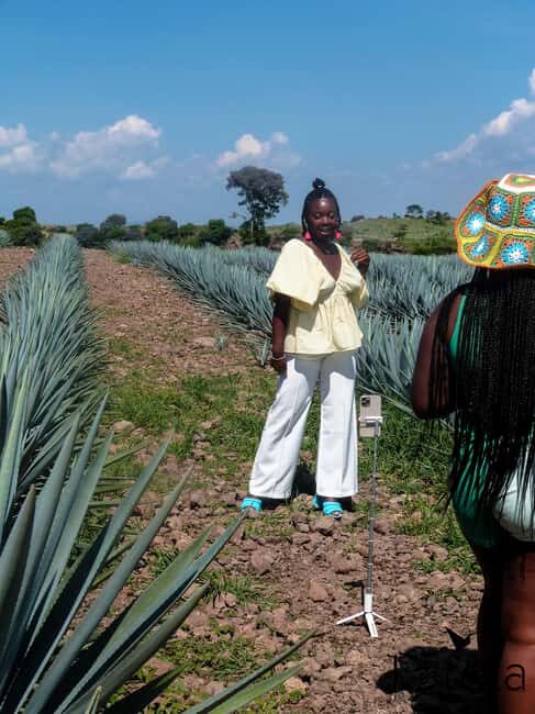 Tour Tequila Loreta Travel&Tour - An Overview of the Tour Experience
