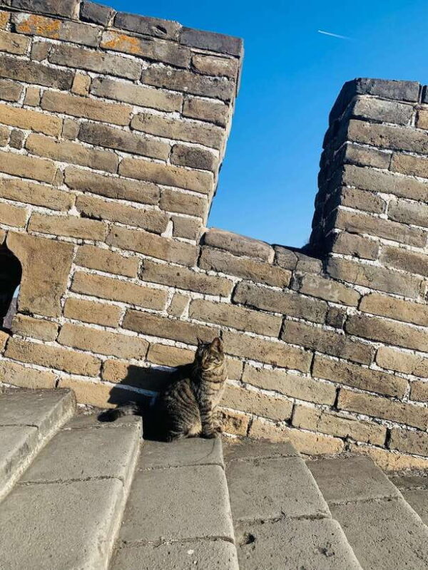 Tour the Great Wall with a Native from Downtown Beijing - FAQ