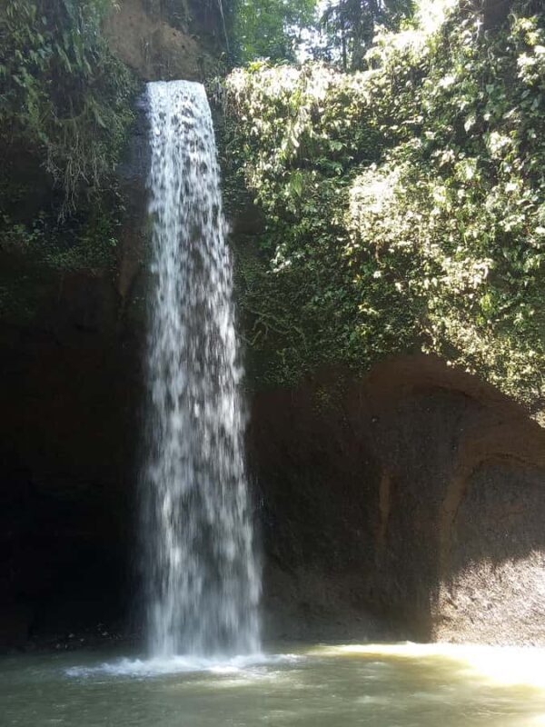 Tour the island of Bali with expert tour guides in Spanish. - Key Points