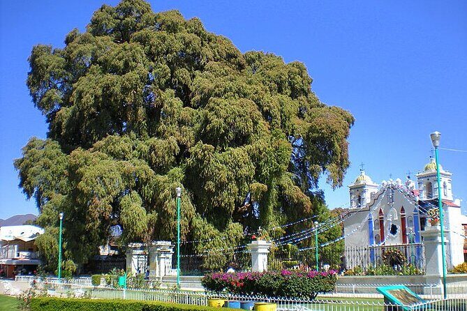 Tour to artisan towns of Oaxaca - Final Thoughts