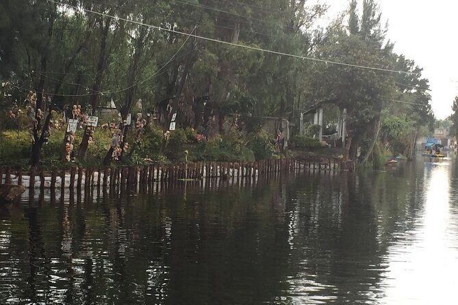 Tour to Coyoacan and Frida Kahlo and Xochimilco - Who Should Book This Experience?