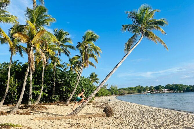 Tour to discover the paradisiacal beaches of the South (Salines) - The Experience and Its Worth