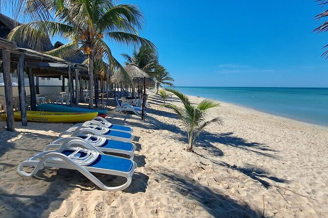 Tour to Edzna and Tortugas Bay - Discovering Edzna and Tortugas Bay: A Balanced Day of History and Beach