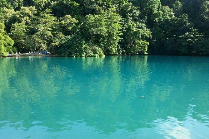 Tour to Fern Gully and Konoko Falls and Park - Why This Tour Offers Good Value