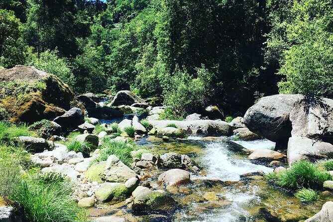 Tour to Gerês in 4x4 full day with option of SUP Tour - Key Points