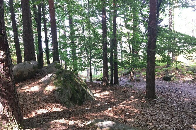Tour to Gerês in 4x4 full day with option of SUP Tour - Final Thoughts