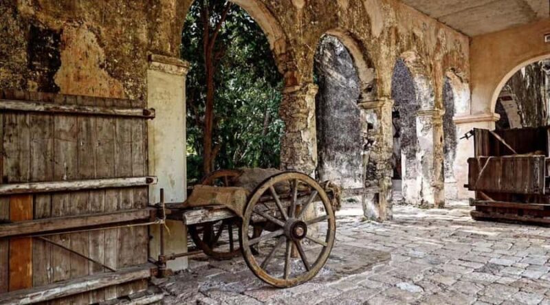 Tour to Hacienda Mucuyché, 2 cenotes & Oxkintok from Merida - The Itinerary: What You Can Expect