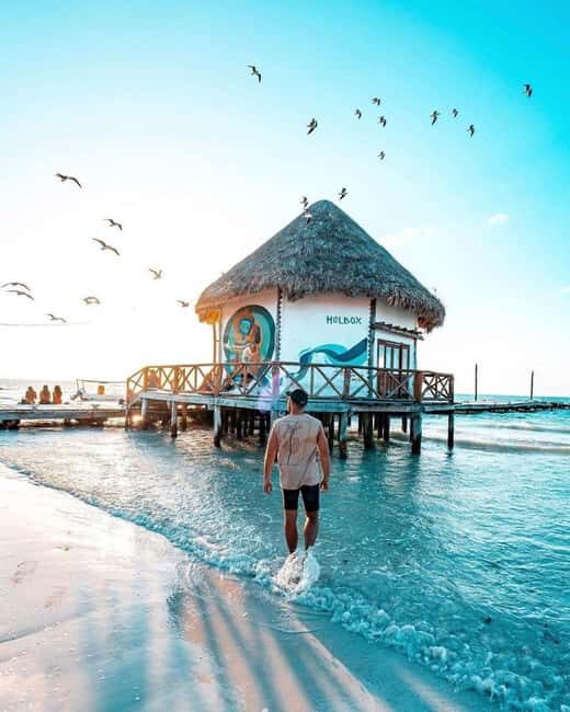 Tour to Holbox with food and transportation from Cancun, Playa del Carmen, and Tulum - Real Traveler Perspectives
