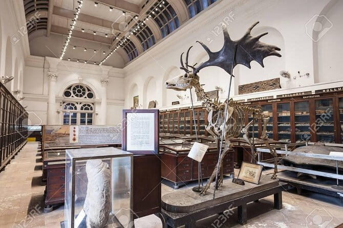 Tour to Indian Museum Kolkata - Key Points