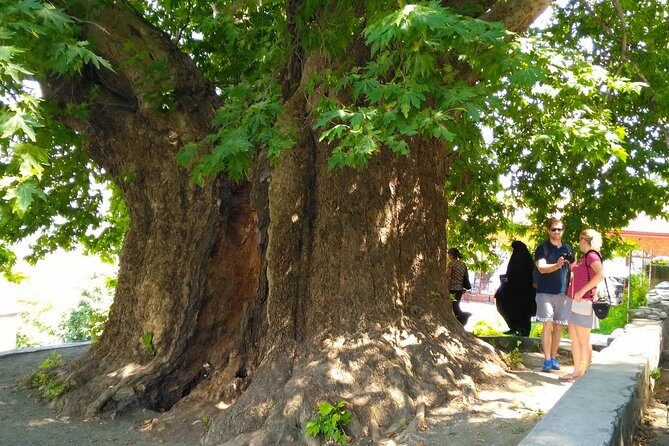 Tour to Kakheti. Sighnaghi Bodbe Monastery Tsinandali Telavi Winery Gombori - Who Should Consider This Tour?