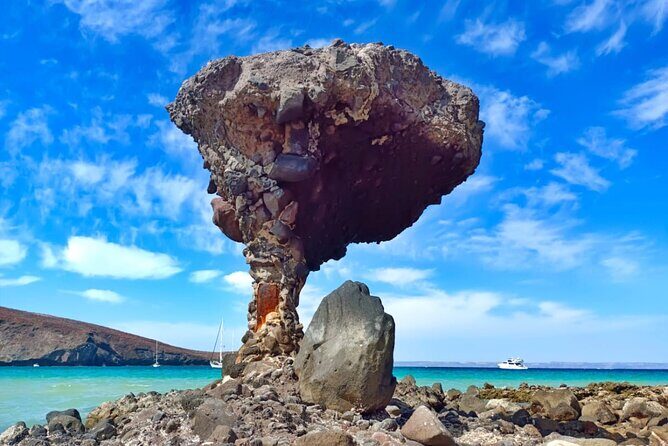 Tour to La Paz Playa Balandra Malecón and Todos Santos - What Makes This Tour Stand Out