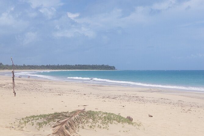 Tour to Montana Redonda (Round Montain) & Costa Esmeralda Beach - Is It Worth the Price?