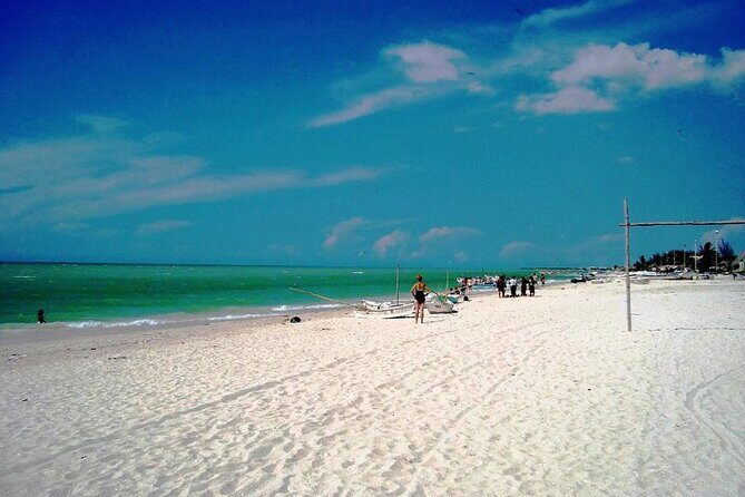 Tour to progreso, corchito and salt ponds - What Travelers Say