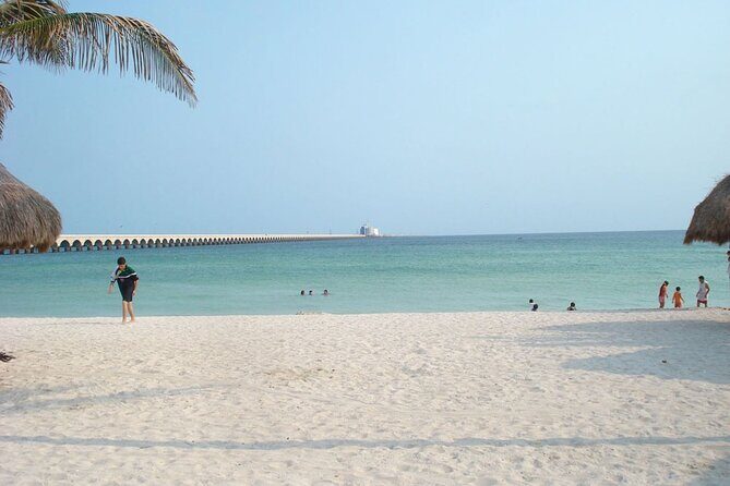 Tour to progreso, corchito and salt ponds - FAQ