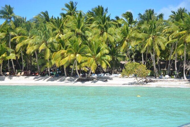 Tour to Saona Island with Lunch and Transportation - Who Is This Tour Best Suited For?