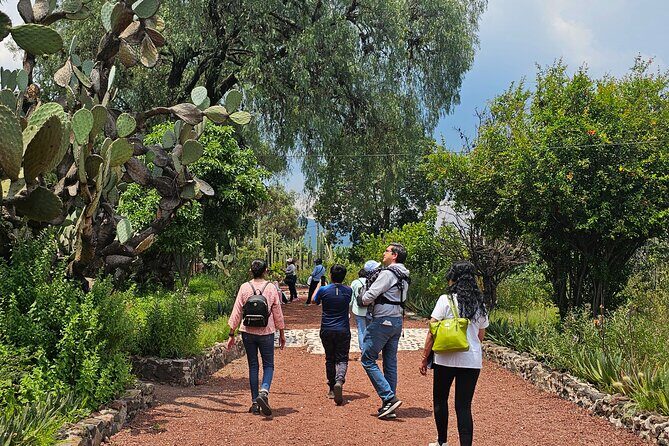 Tour to Teotihuacan the city of the gods - FAQ