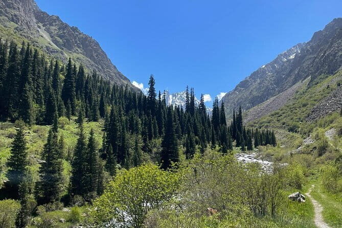 Tour to the Ala Archa National Park - FAQs