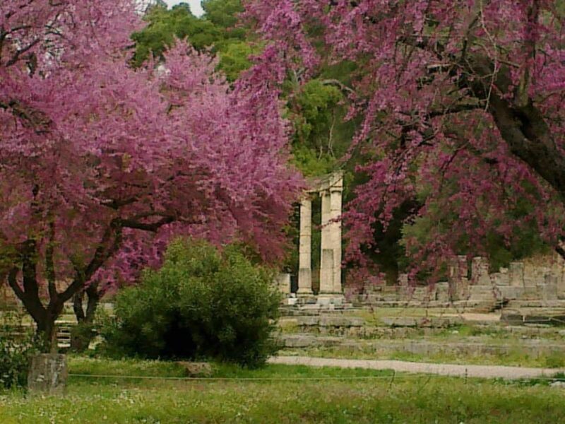 Tour to the archaeological site of Olympia by an archaeologist of Italian descent - An In-Depth Look at the Olympia Tour Experience