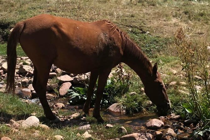 Tour to the Assy plateau - The Itinerary Breakdown: What to Expect