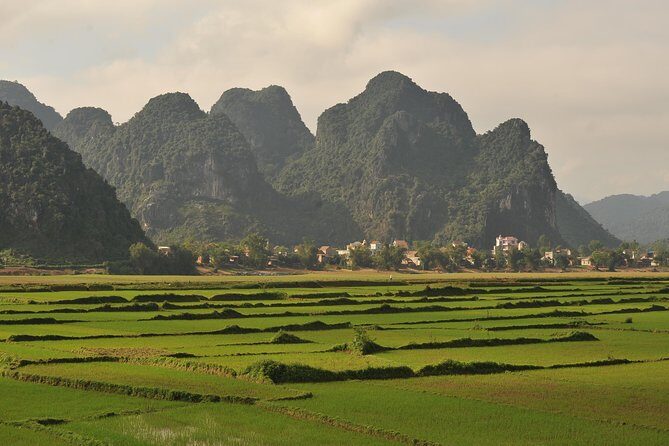 Tour to the caves ONE DAY tour to Phong Nha and Paradise caves - An In-Depth Look at the Tour