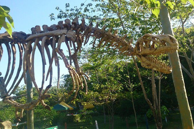 Tour to the Hacienda Nápoles Theme Park - Who Should Consider This Tour?