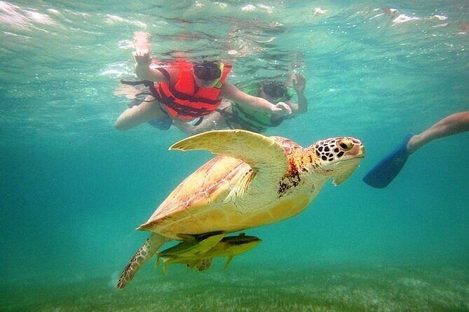 Tour to Tulum and cenote with swimming with turtles from Riviera Maya - Authenticity and Authentic Experiences