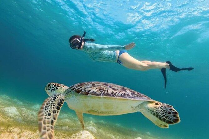 Tour to Tulum and cenote with swimming with turtles from Riviera Maya - Final Thoughts