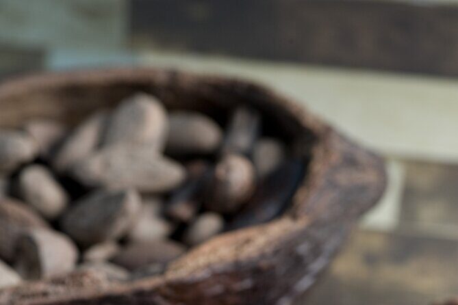 Tour to Uxmal + Choco Story Chocolate Museum - FAQ