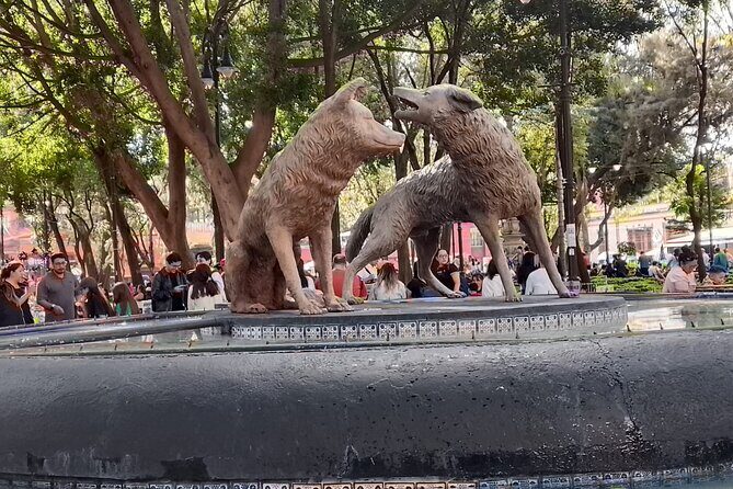 Tour to Xochimilco and Coyoacan and Frida Khalo - An In-Depth Look at the Tour Experience
