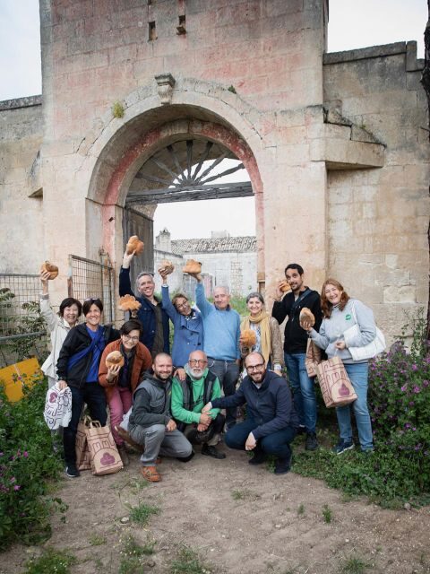 Tour tra i Templi dell'Olio e gli Olivi Patriarchi - A Walking Journey Through Olive History and Tradition